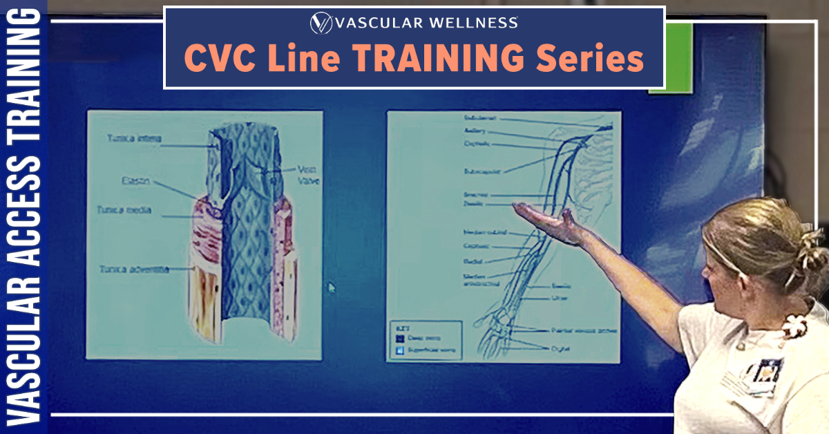 CVC Line Training | Vascular Wellness