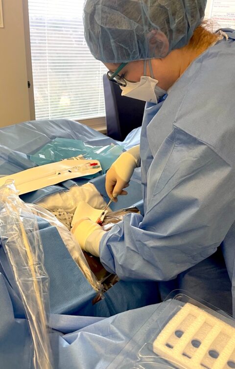 Vascular Access Experts | Vascular Wellness